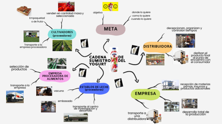 Organizador Visual Del Yogurt | PDF | Yogur | Business