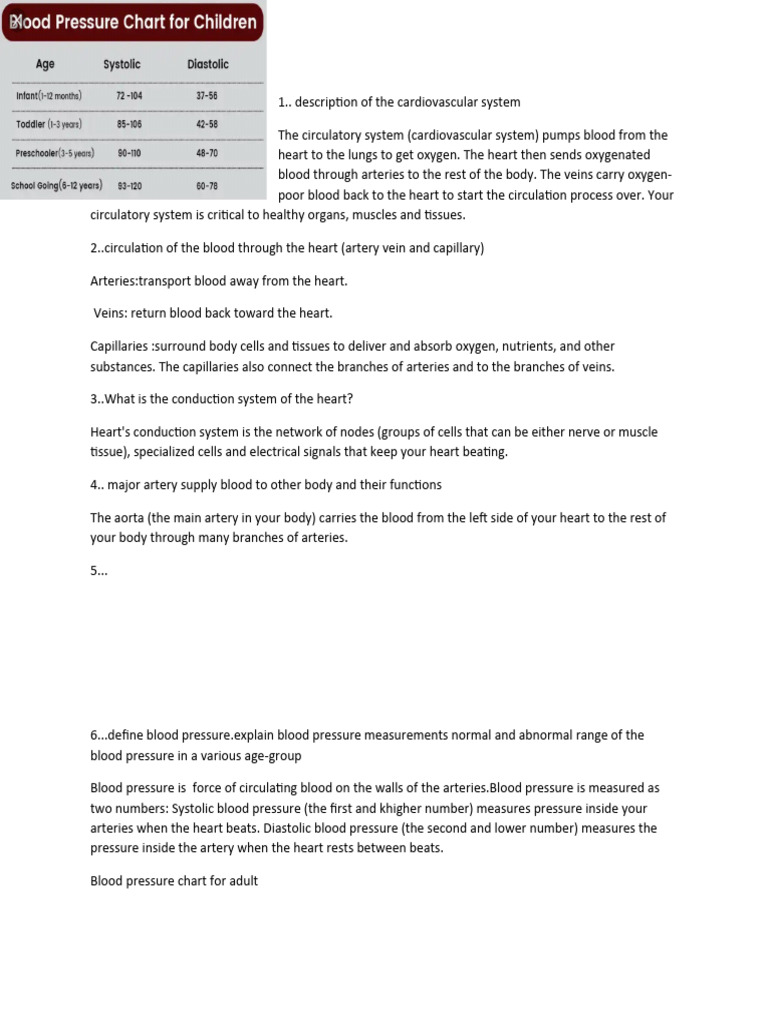 Anatomy Handout Created by Adamskid | PDF | Heart | Cerebrum