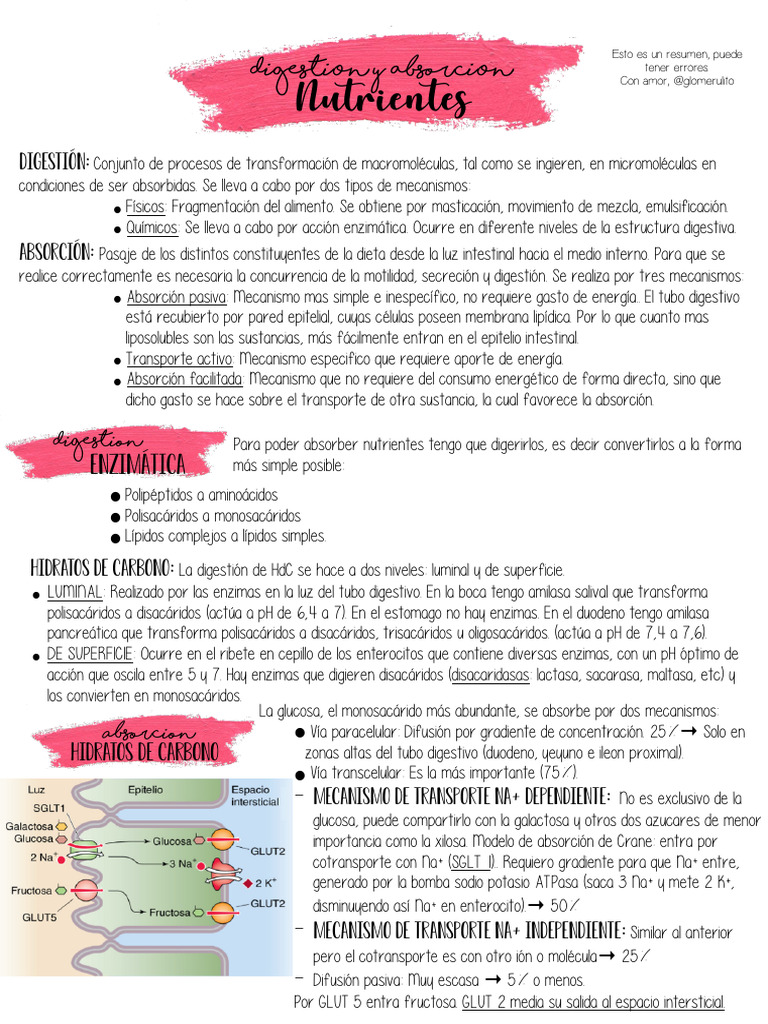 Digestión y Absorción | PDF | Digestión | Tripsina