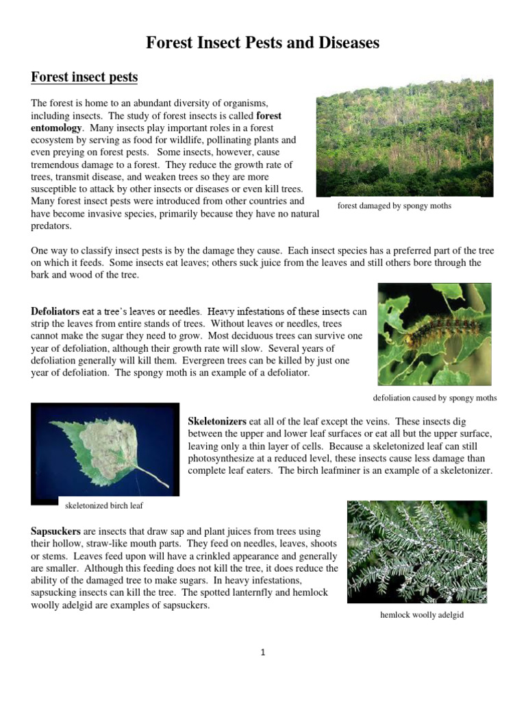 Identification Pages For Invasive Pests Diseases Species List ...