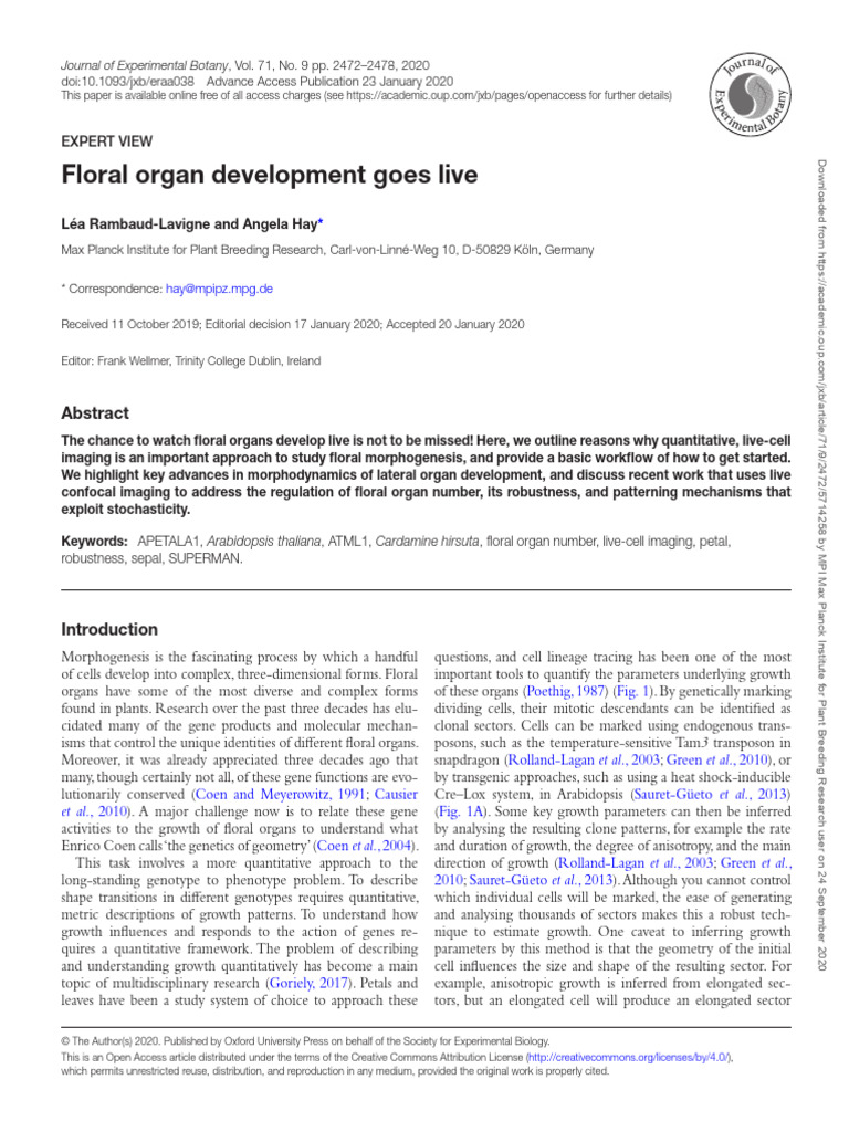 Floral Organ Development Goes Live | PDF | Arabidopsis Thaliana | Flowers
