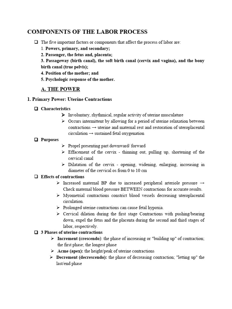 Components of The Labor Process | PDF | Pelvis | Anatomy
