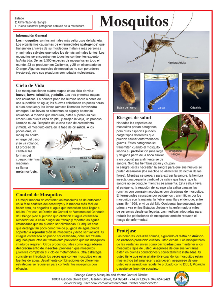 Control y Riesgos de Mosquitos | PDF | Mosquito