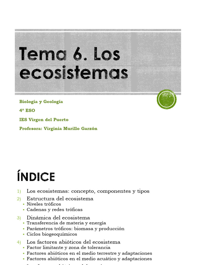 Temas 6 y 7_ Los ecosistemas | PDF | Ecosistema | Red alimentaria