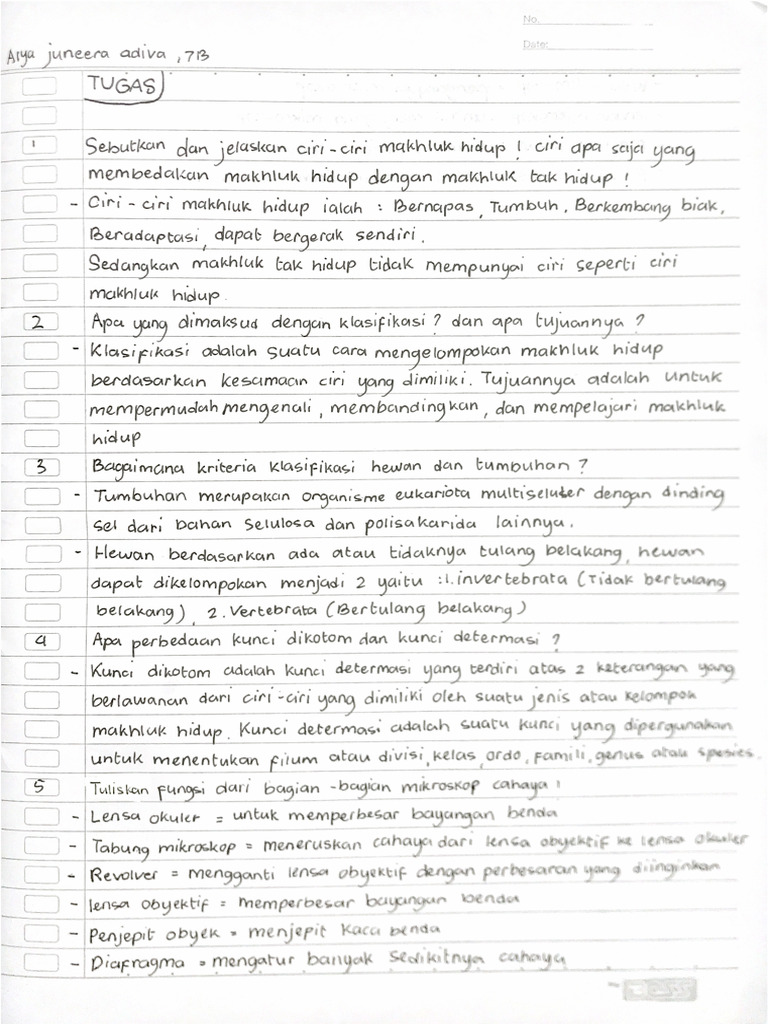 IPA, Alya Juneera Adiva | PDF