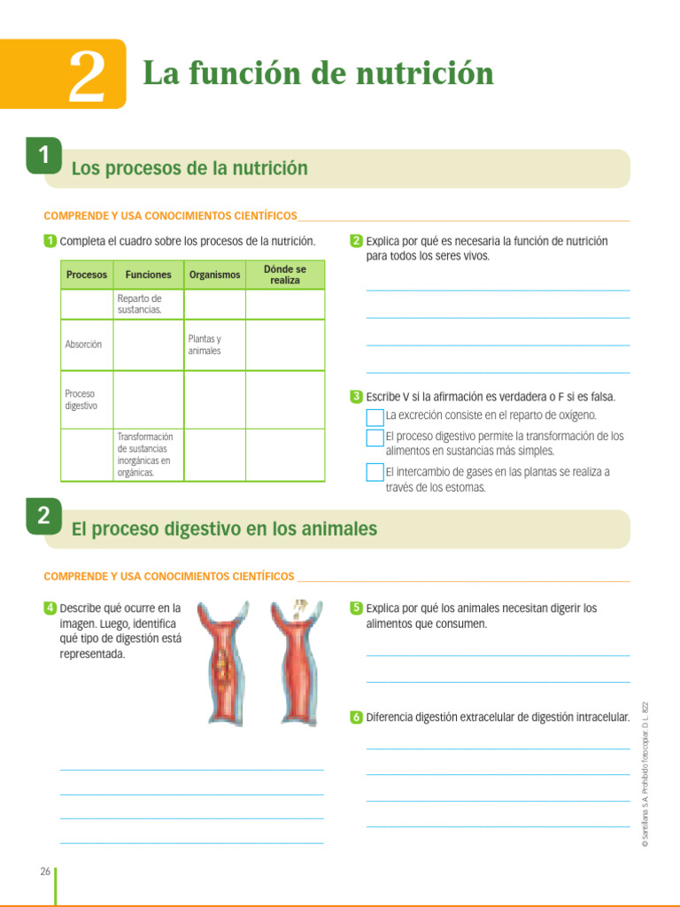 Actividad 01 y 02 - Procesos de Nutrición y Digestivos | PDF | Sistema ...