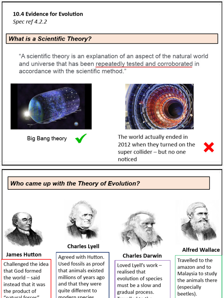 10.4 Evidence For Evolution | PDF | Evolution | Homology (Biology)