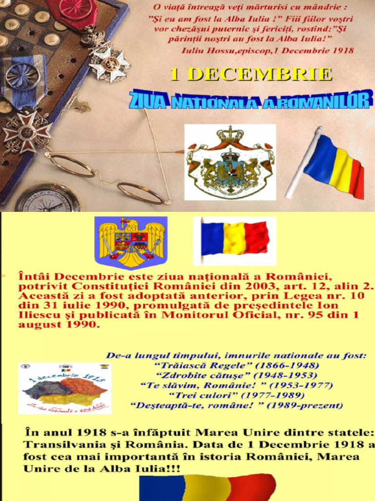 Proiect Istorie | PDF