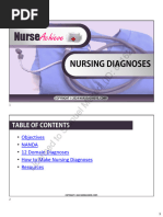 NANDA 2024-2026 | PDF | Medical Diagnosis | Theory