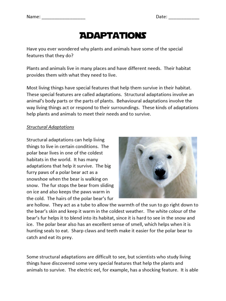 4 Science Habitats Communities Adaptations | PDF | Predation | Bears