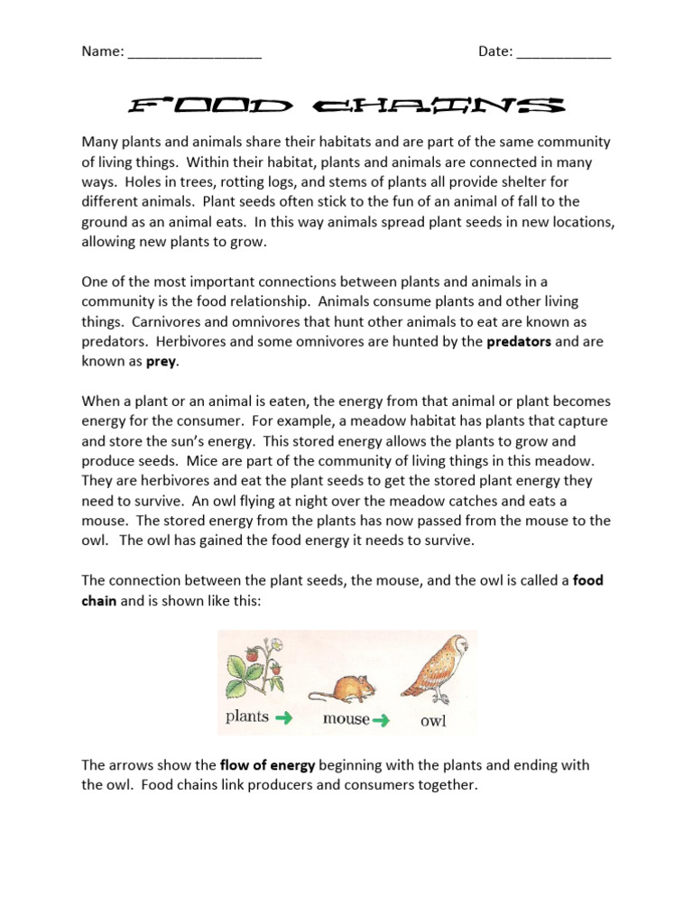 4 Science Habitats Communities Food Chains Answers | PDF | Mouse ...