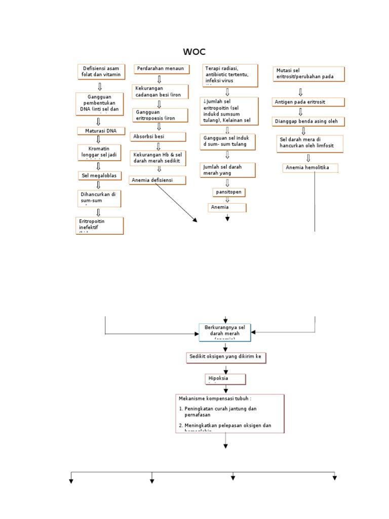 Woc Anemia | PDF