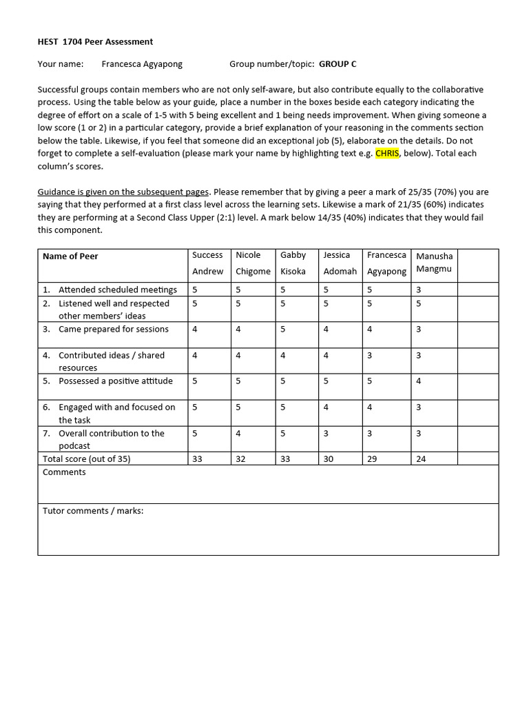 Peer Assessment Guide | PDF | Cognition | Social Psychology