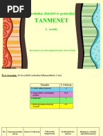 Rajz Tanmenet 1. Osztály | PDF