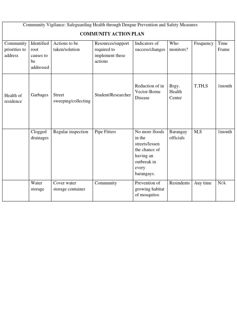 Dengue Prevention Community Action Plan | PDF