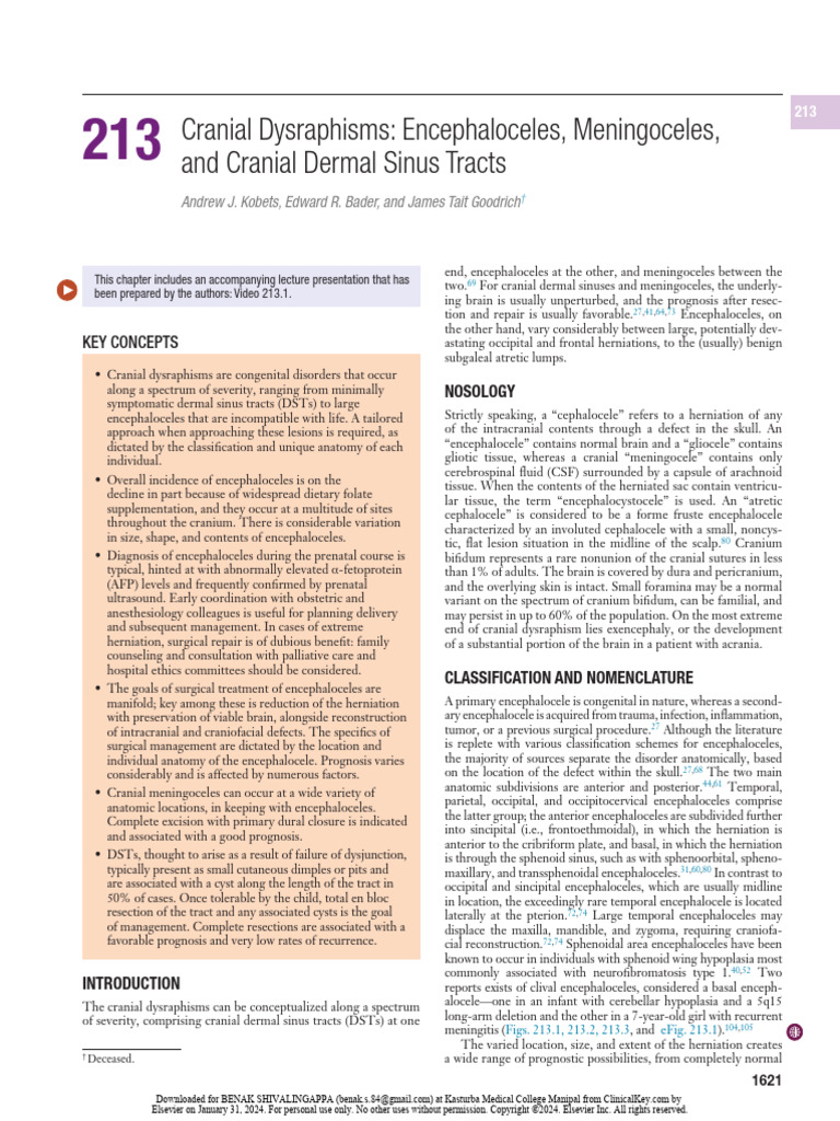Cranial Dysraphism | PDF | Skull | Brainstem