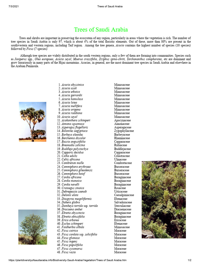 Trees of Saudi Arabia | PDF | Plants