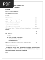 Zulu Noun Types Explained | PDF