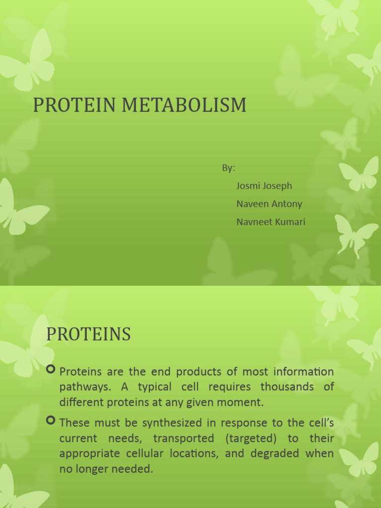 Protein Metabolism Insights | PDF | Translation (Biology) | Genetic Code