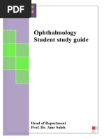 Visual Acuity Conversion Chart | PDF | Visual Acuity | Experimental ...
