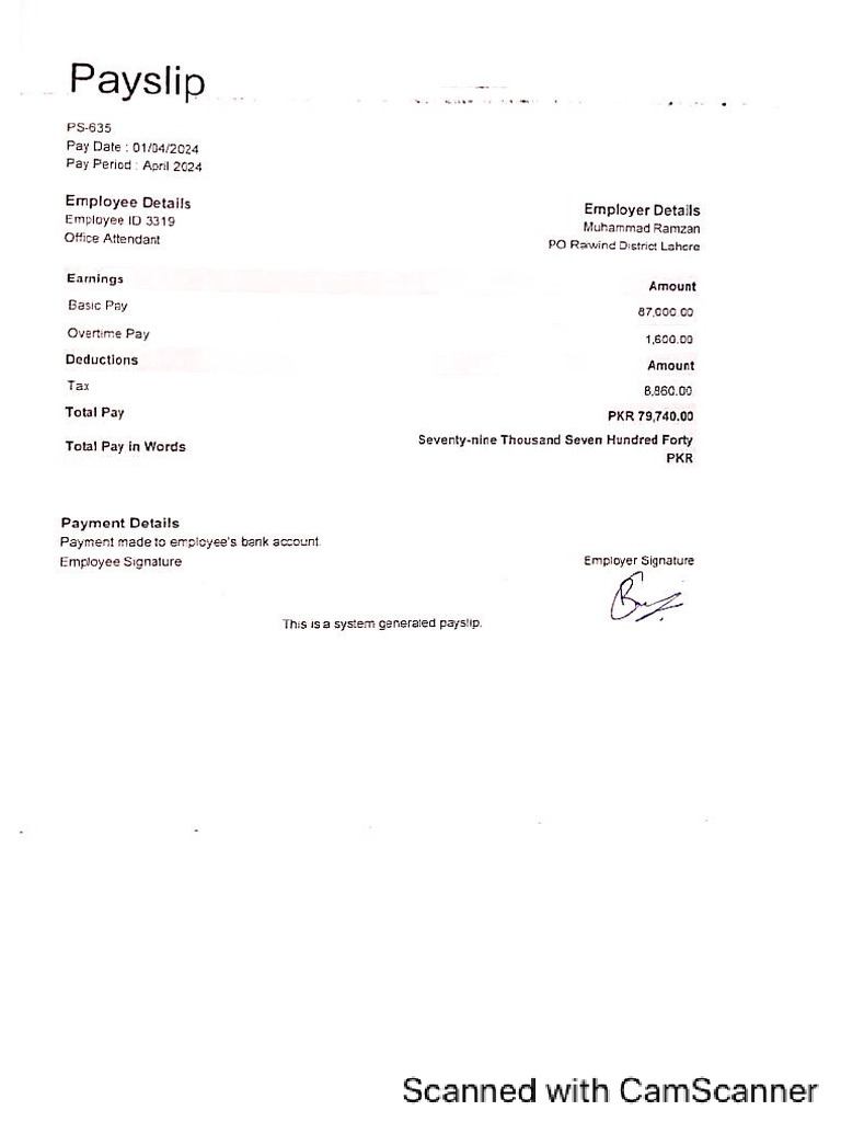 #3319 PaySlips | PDF