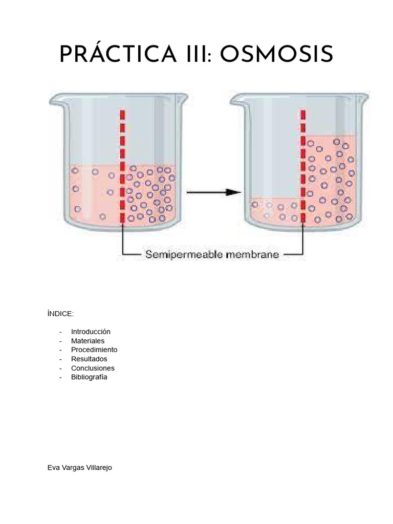 Osmosis | PDF | Ósmosis | Biología Celular