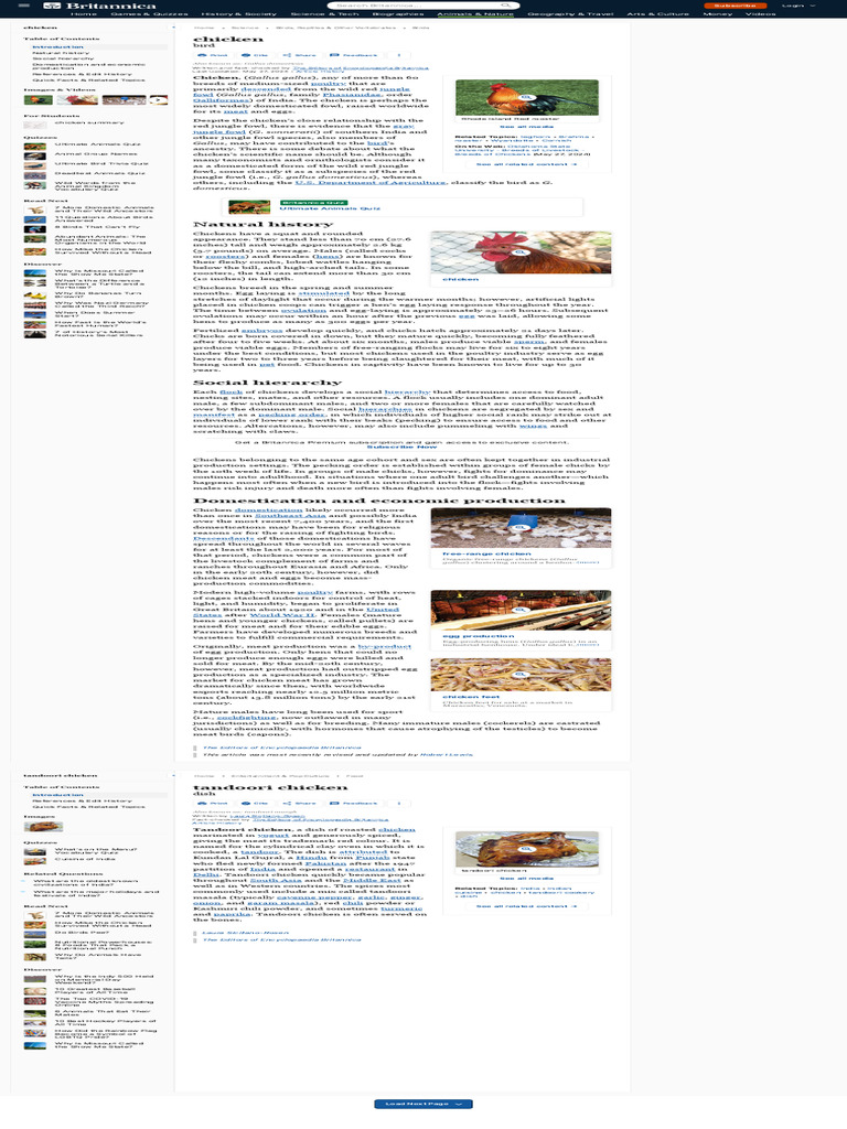 Chicken - Types, Characteristics & Uses - Britannica | PDF | Chicken ...