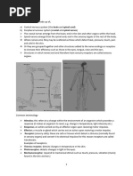 Grade 12 Life Sciences | PDF | Nervous System | Neuron