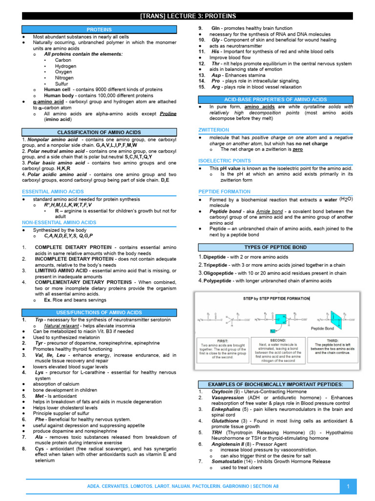 TRANS BIO 024 Lecture 3 Proteins | PDF | Amino Acid | Proteins