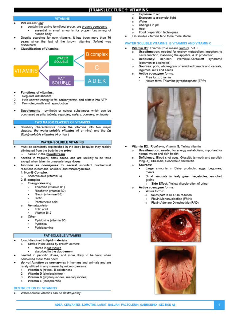 TRANS BIO 024 Lecture 5 Vitamins | PDF | Vitamin | Vitamin E