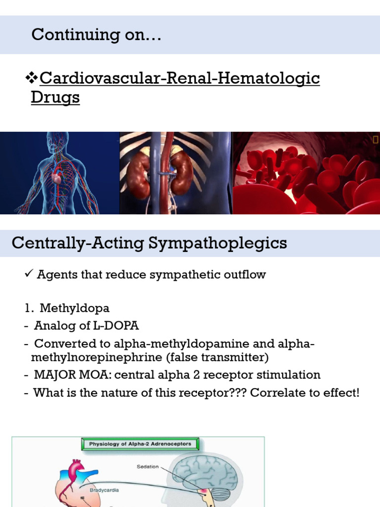 Pcol Part 2 | PDF | Cardiology | Medical Specialties