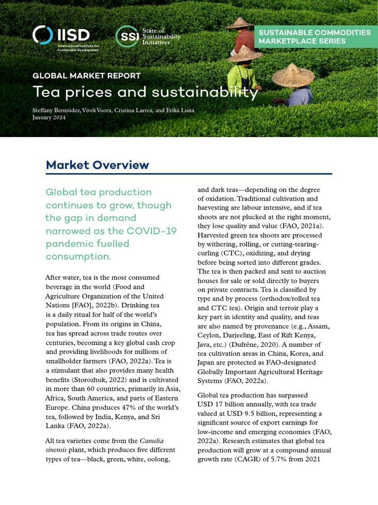 Global Tea Production Trends 2024 | PDF | Tea | Climate Change
