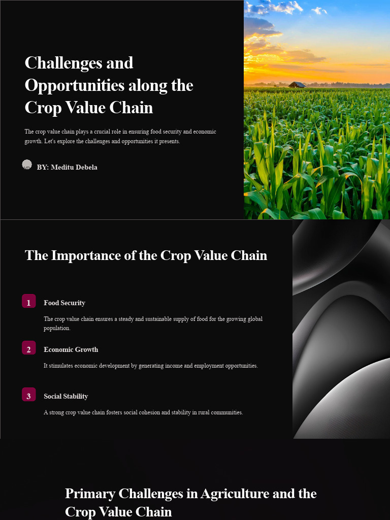 Crop Value Chain: Challenges & Opportunities | PDF | Supply Chain ...