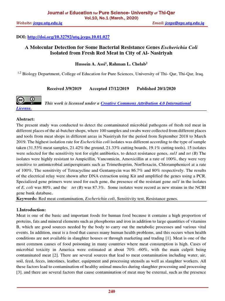 A Molecular Detection For Some Bacterial Resistance Genes Escherichia Coli Isolated From Fresh
