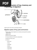 Frog Digestive System Dissection Guide | PDF | Gastrointestinal Tract ...