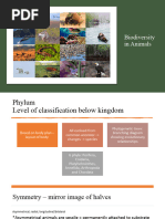 Kingdom Animalia - Phylum Summary Table | PDF | Gill | Zoology