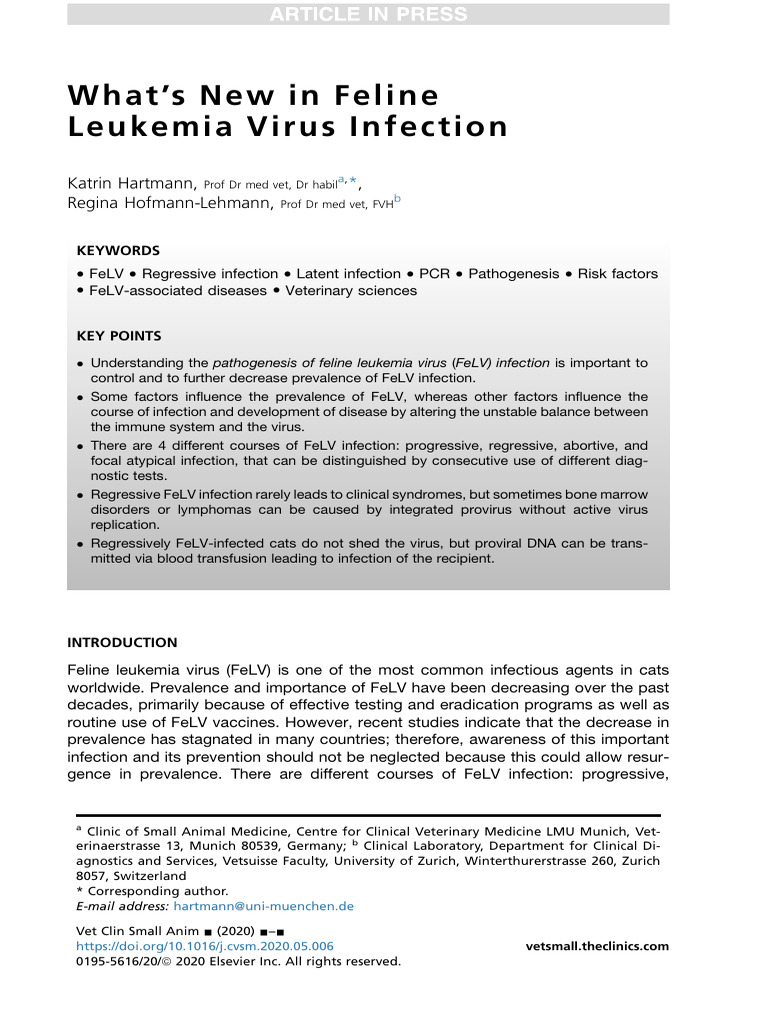 Novidades FeLV - Junho 2020 | PDF | Infection | Virus