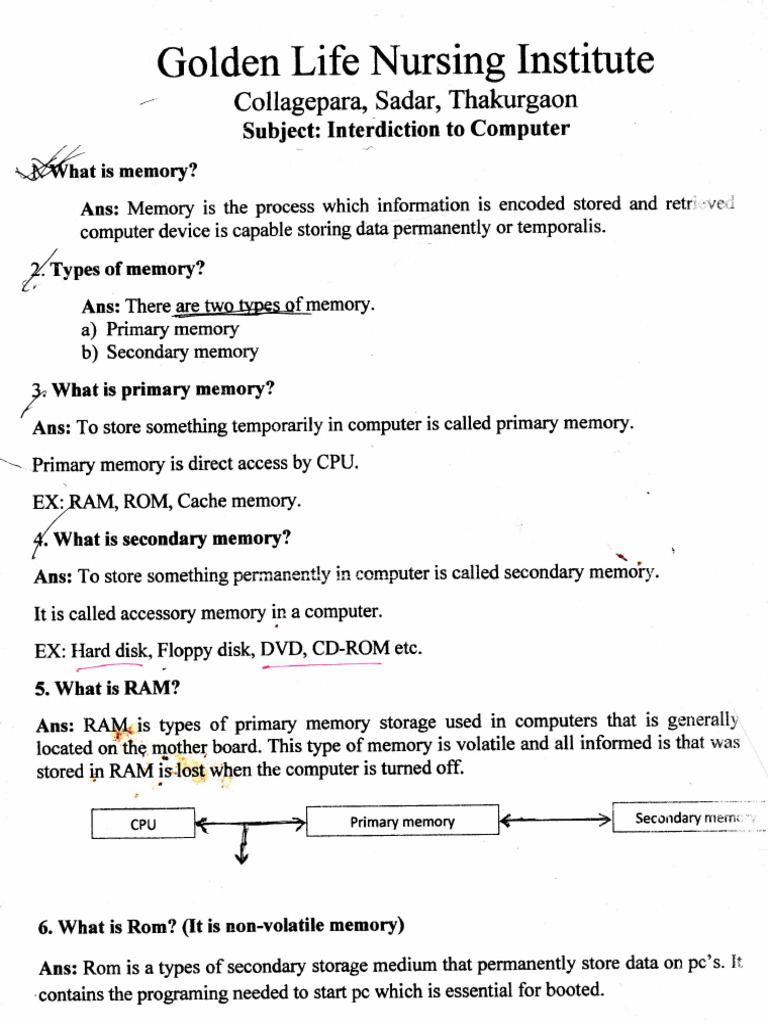 Basic Computer Golden Life Nursing | PDF