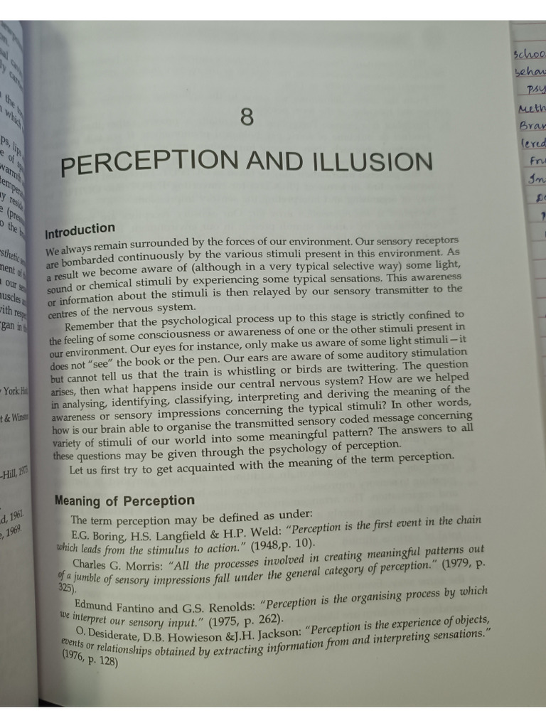 Perception | PDF