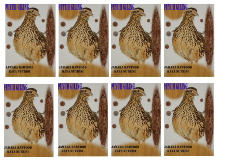 Stiker Rawfood Puyuh | PDF