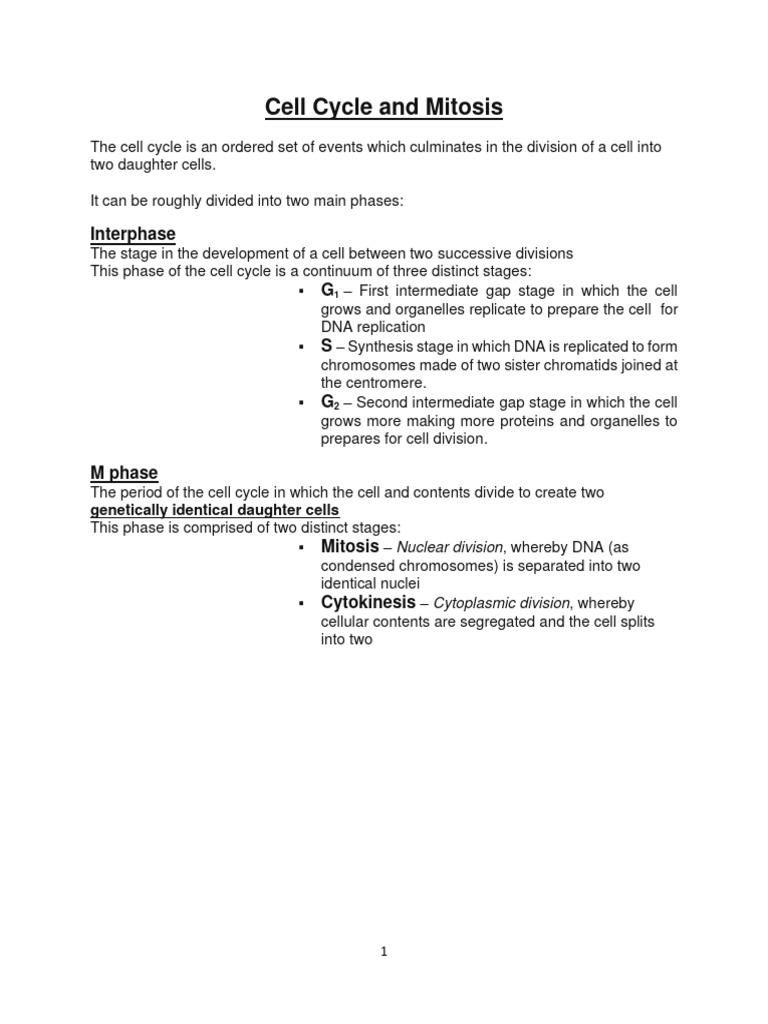 Cell Cycle and Mitosis Notes | PDF | Mitosis | Cell Cycle