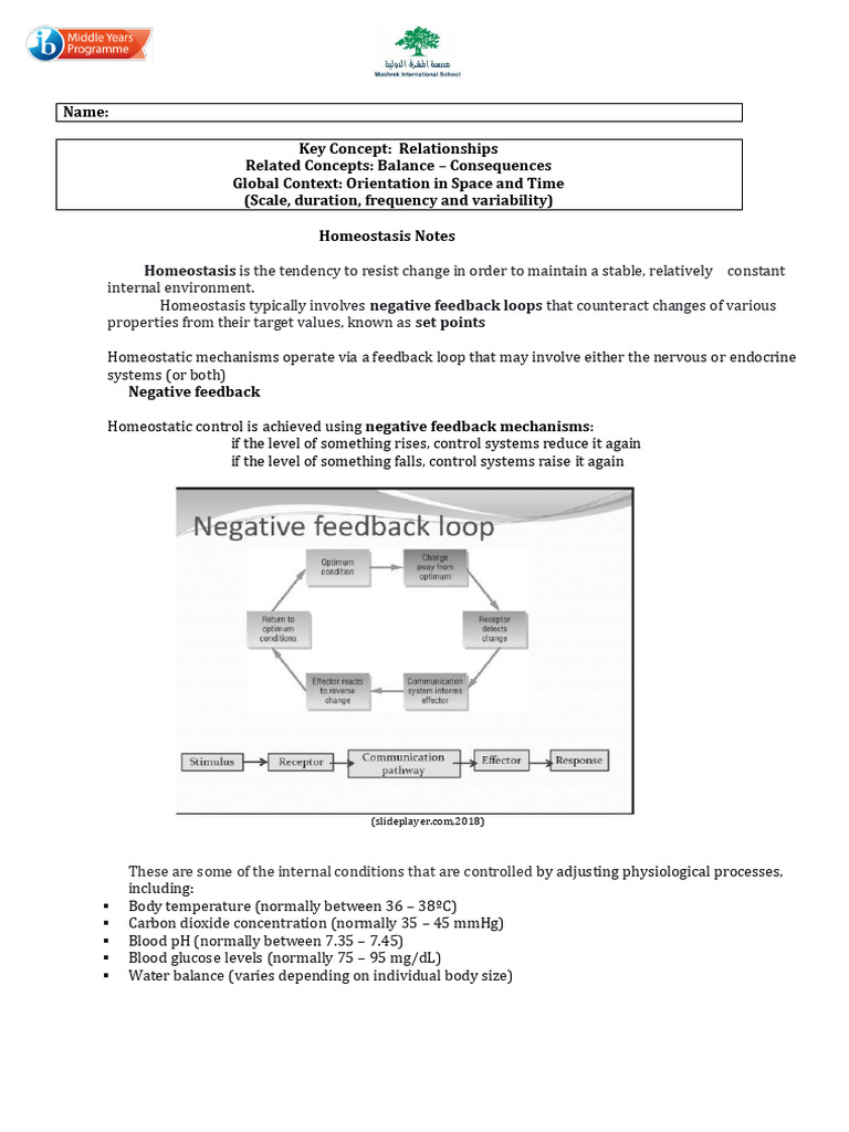 Homeostasis notes | PDF | Kidney | Homeostasis