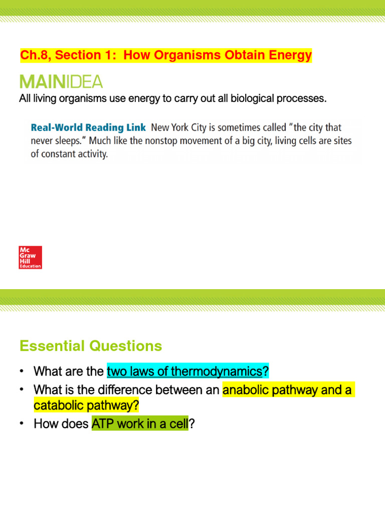 Classroom Presentation Toolkit How Organisms Obtain Energy | PDF | Metabolic Pathway | Metabolism
