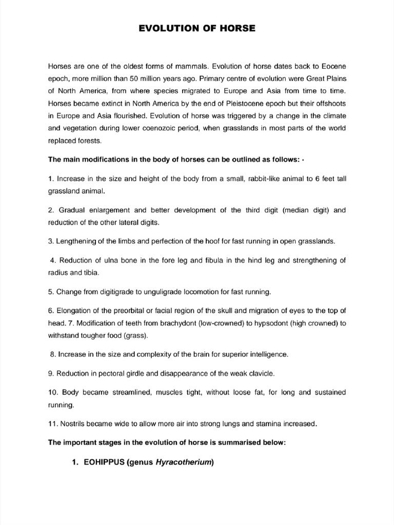 3.4. Evolution of Horse | PDF