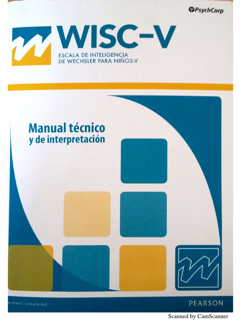 Wisc-V Manual Interpretación | PDF