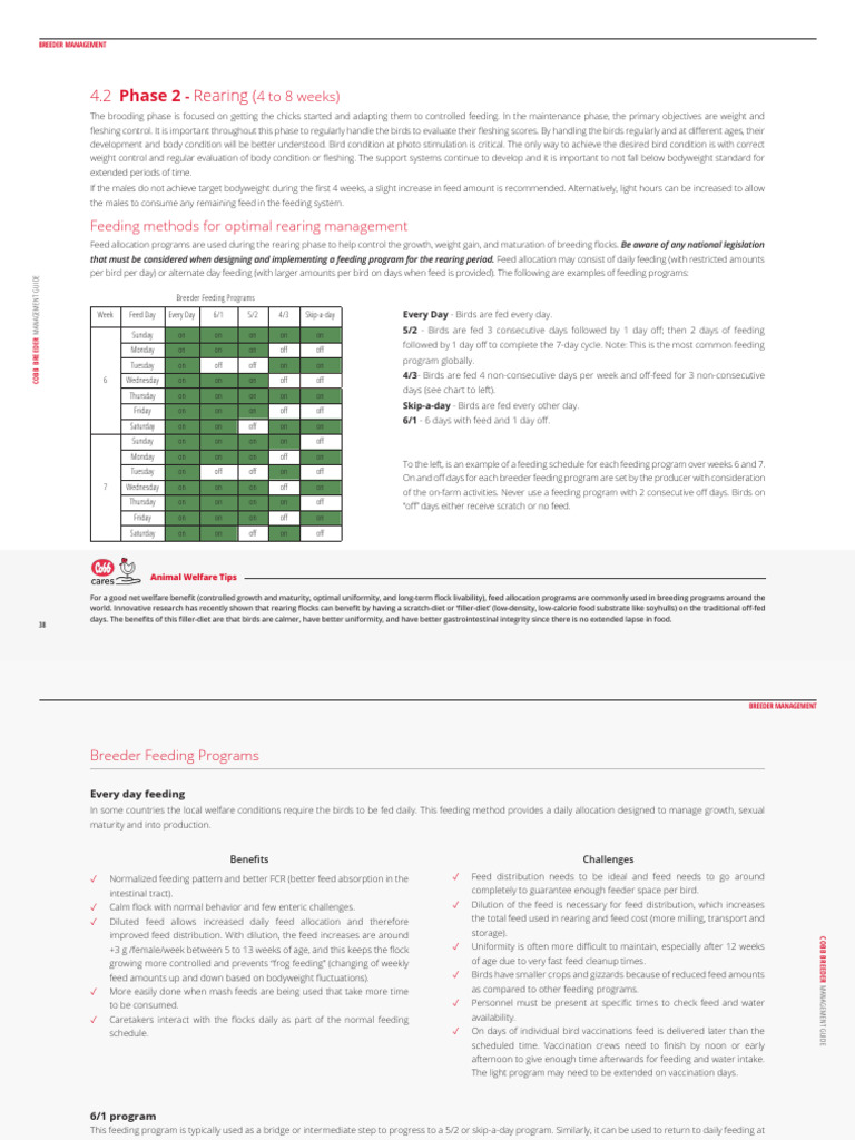 Cobb Breeder Feeding Management Guide | PDF | Birds