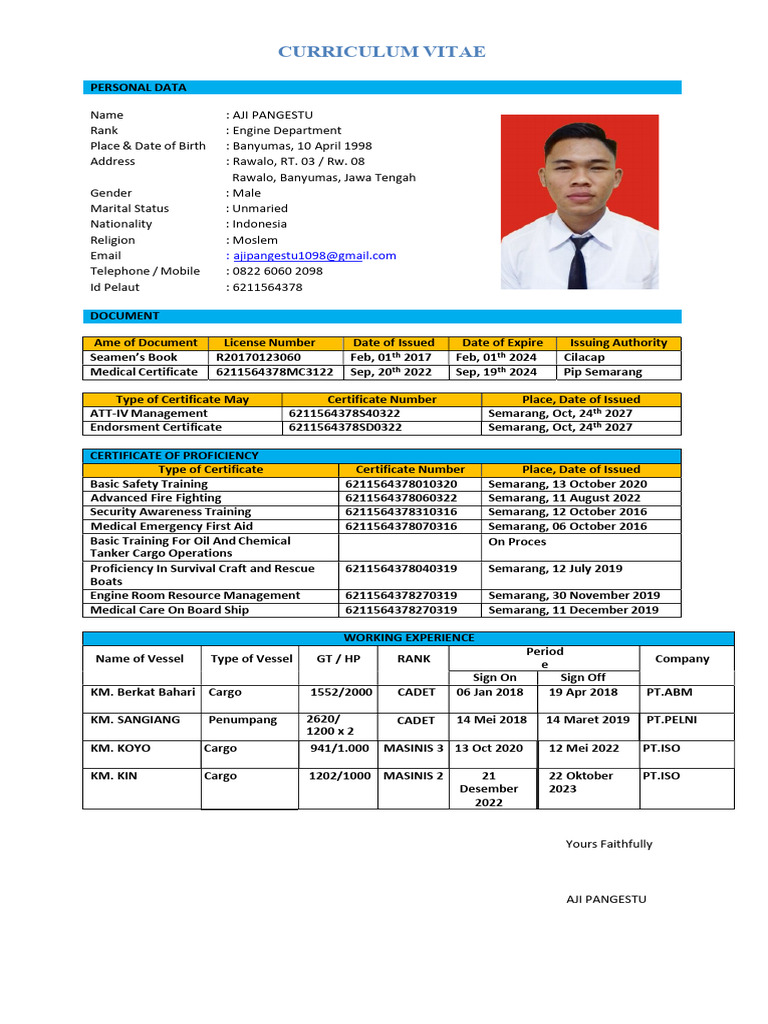 Curriculum Vitae | PDF | Freight Transport | Ships