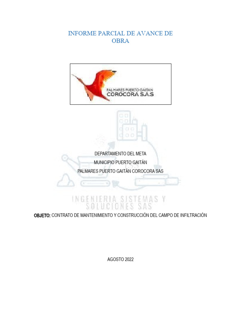 Formato de Informes | PDF