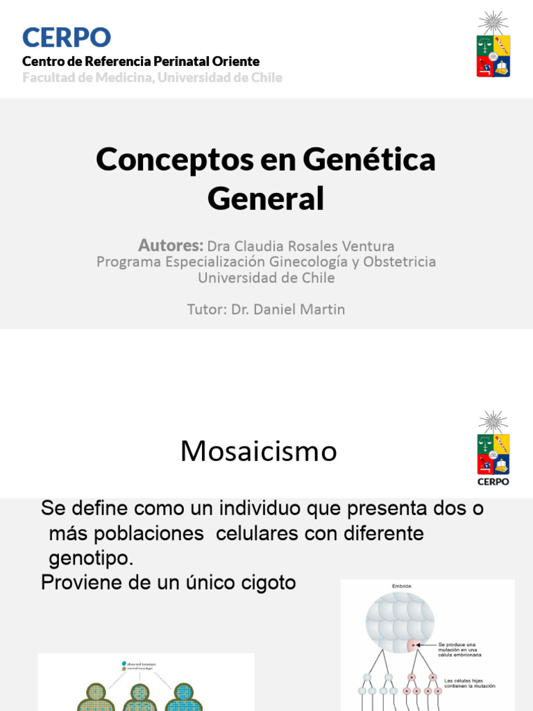 Conceptos en Genetica General Dra Claudia Rosales Ventura - Archivo | PDF | Gene | Genética
