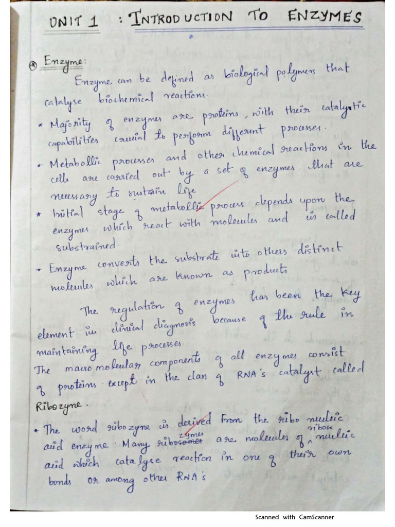 Introduction To Enzymes | PDF